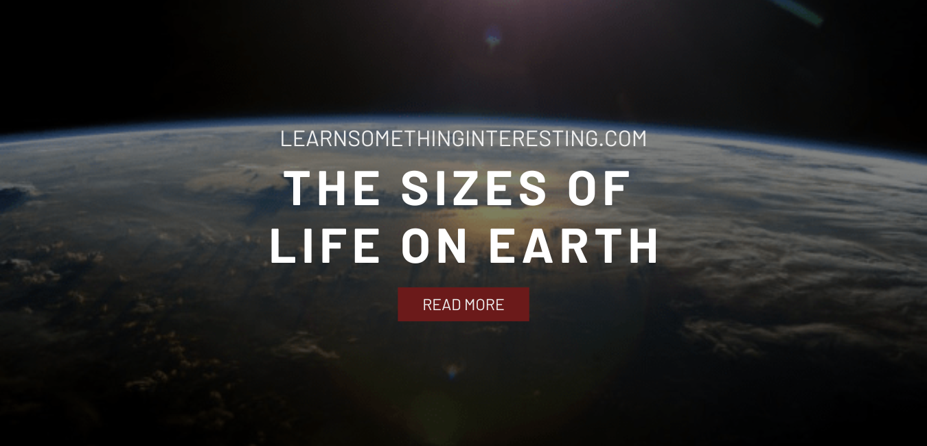 Learn Something Interesting: The Sizes of Life On Earth