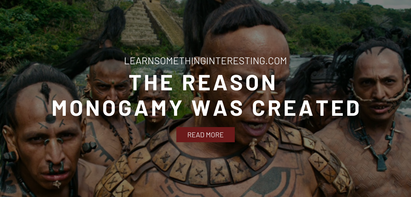 Learn Something Interesting: The Reason Monogamy Was Created