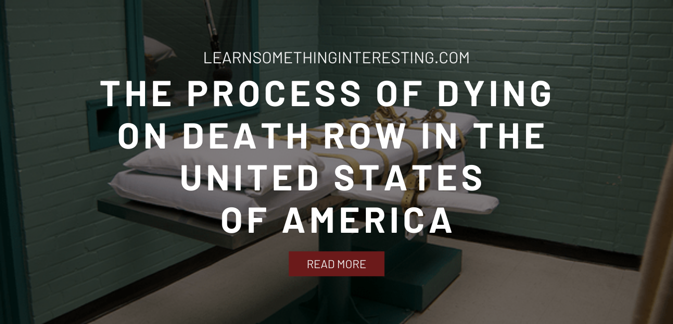 Learn Something Interesting: The Process of Dying on Death Row In the ...