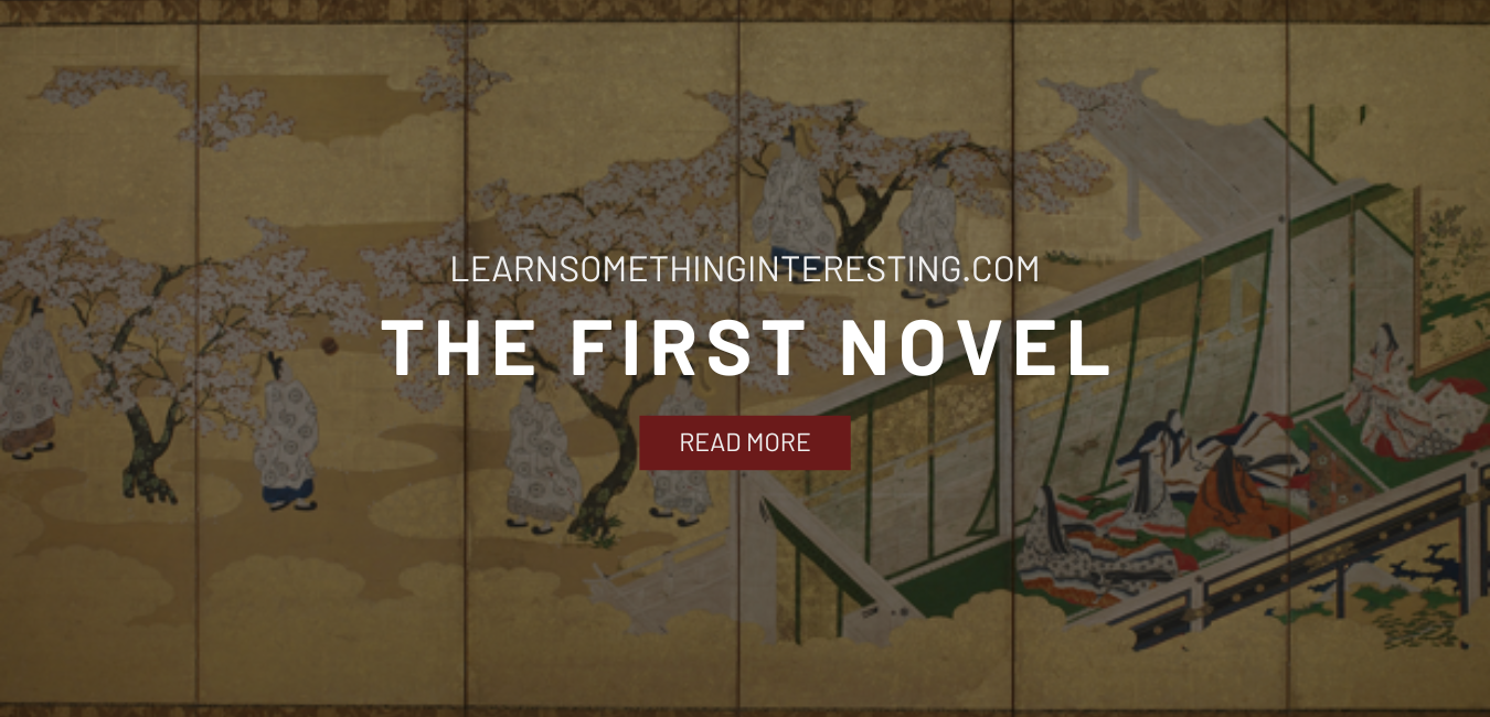 Learn Something Interesting: The First Novel