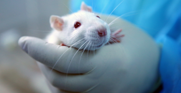 Learn Something Interesting: The Scientific Study of Consciousness ...