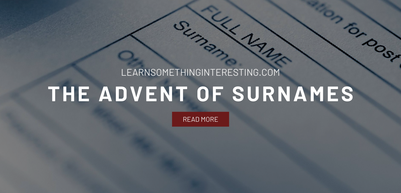 Learn Something Interesting: The Advent of Surnames