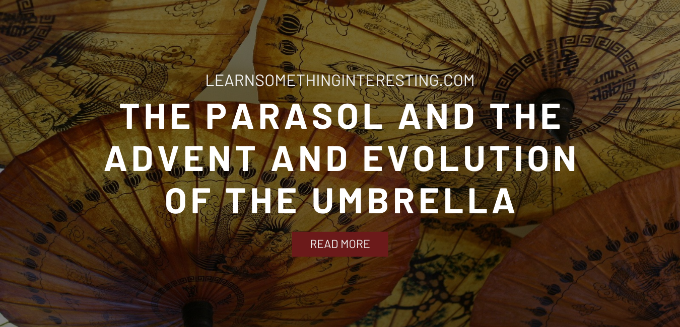 Learn Something Interesting: The Parasol and the Advent and Evolution ...