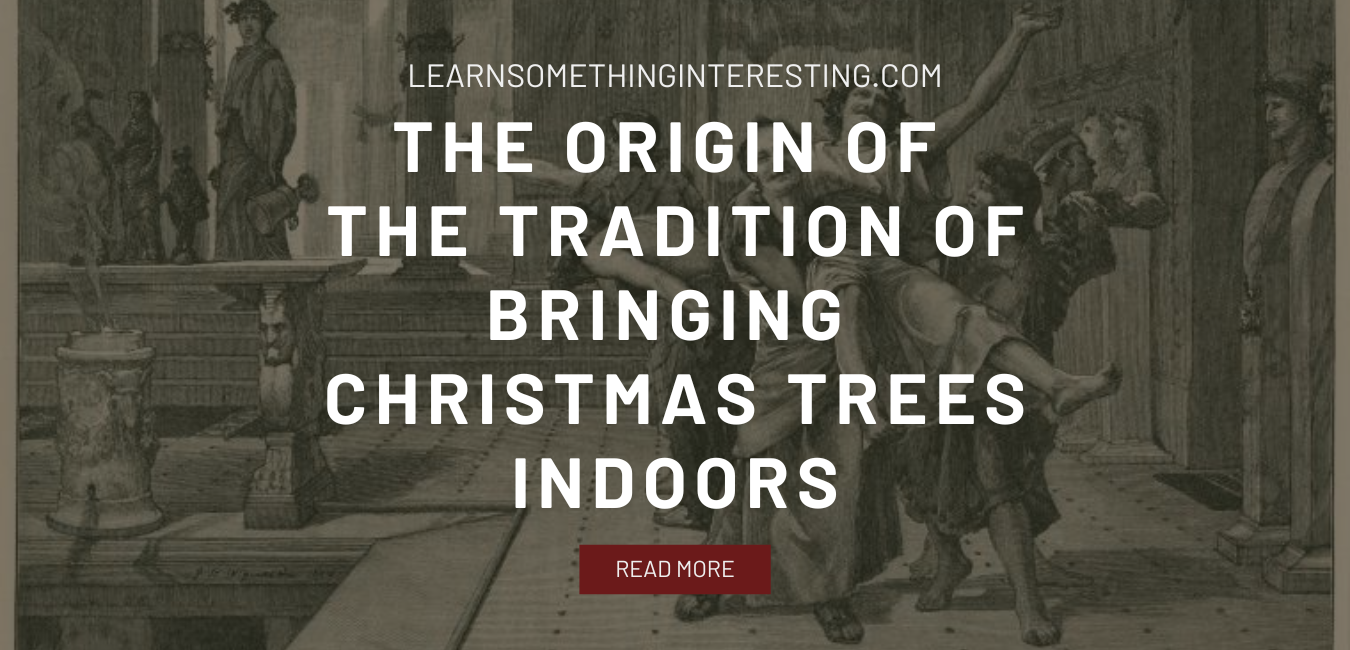 Learn Something Interesting: The Origin of the Tradition of Bringing ...