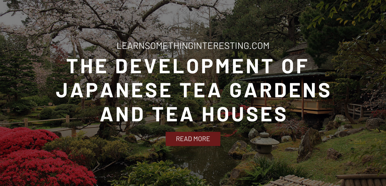 Learn Something Interesting: The Development of Japanese Tea Gardens ...
