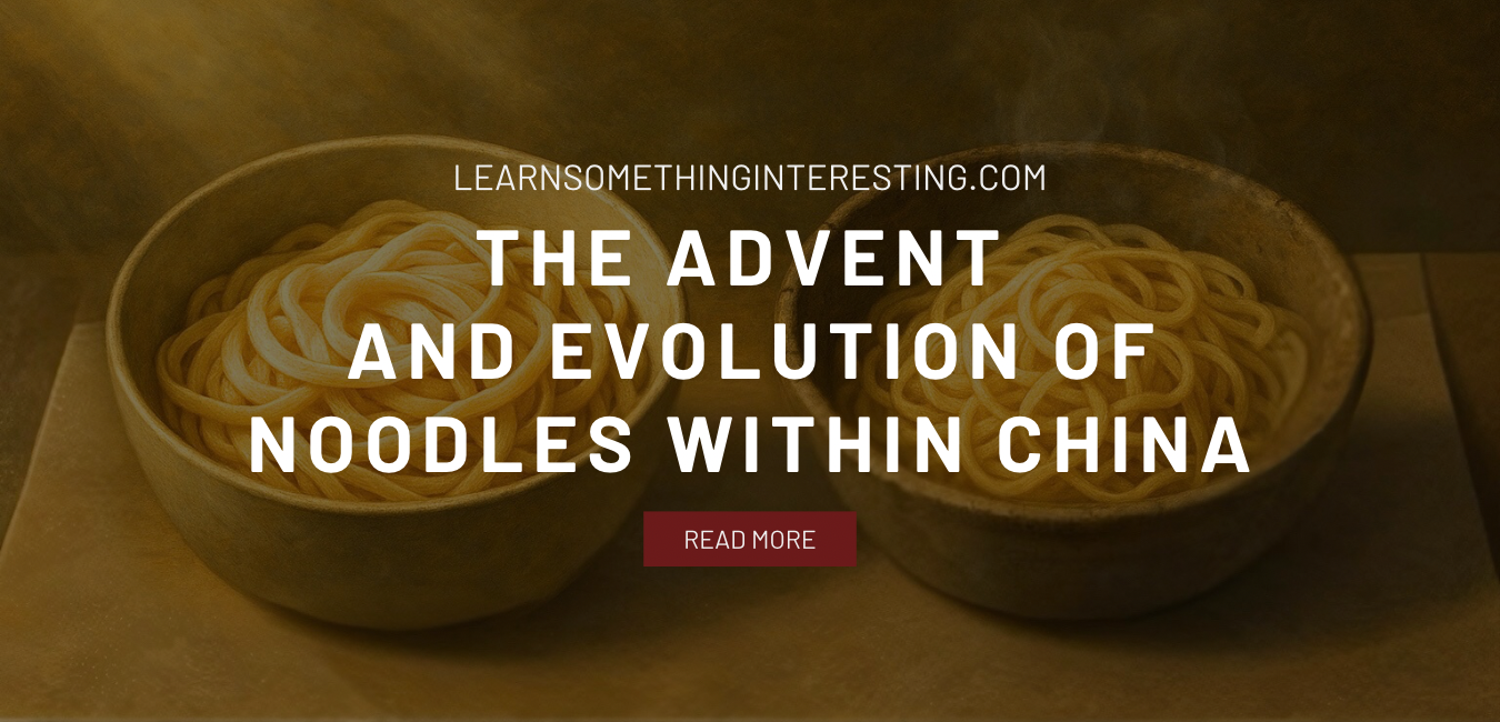 Learn Something Interesting: The Advent and Evolution of Noodles Within ...